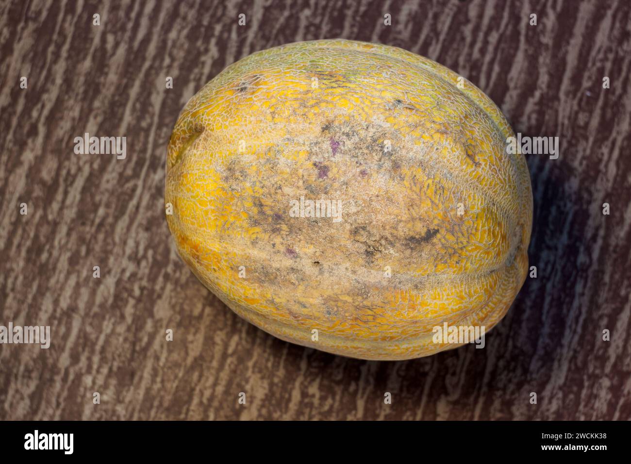 Ugly food concept. Unusual looking melon with purple and white mold ...