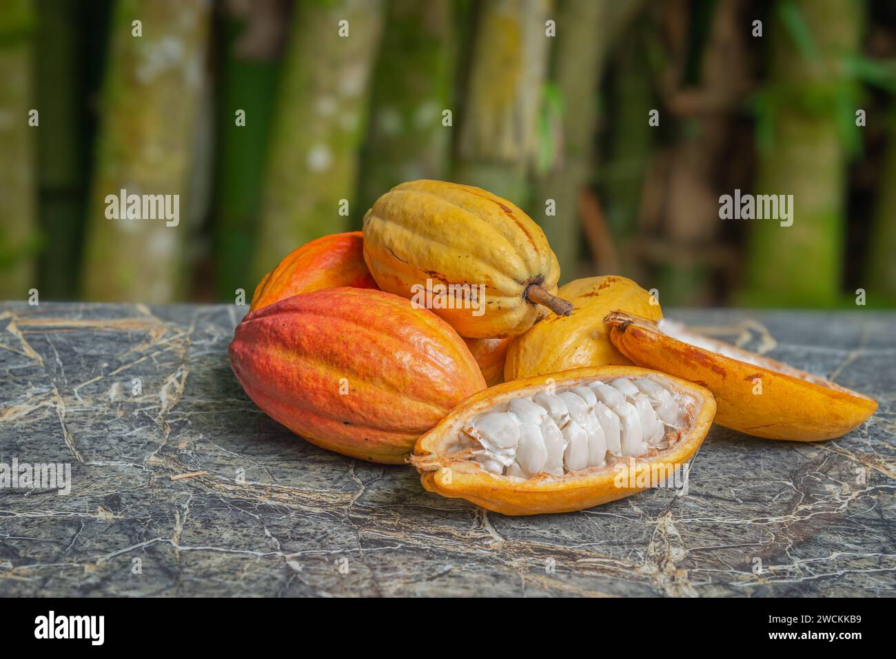 Cocoa pods still life close up whole organic marble top bamboos in ...