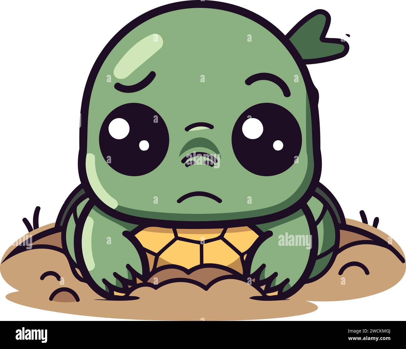 The turtle is sitting on the ground hi-res stock photography and images ...