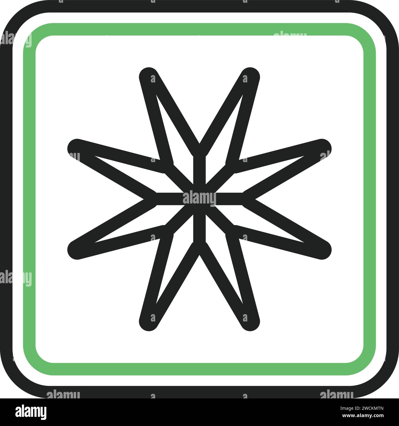 Eight-Pointed Star icon vector image Stock Vector Image & Art - Alamy