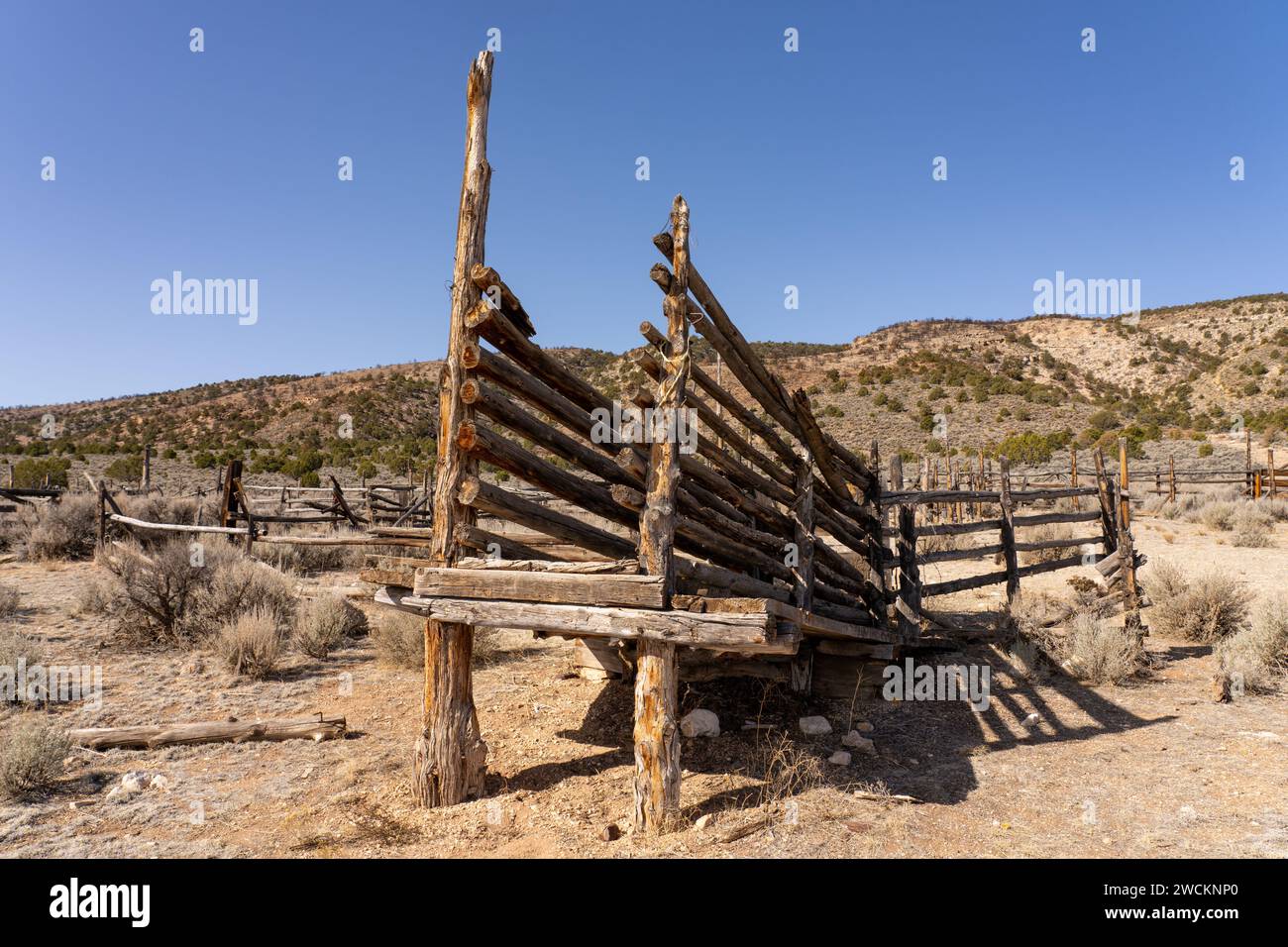 An old loading chute at a pole corral from a former ranch in the ...
