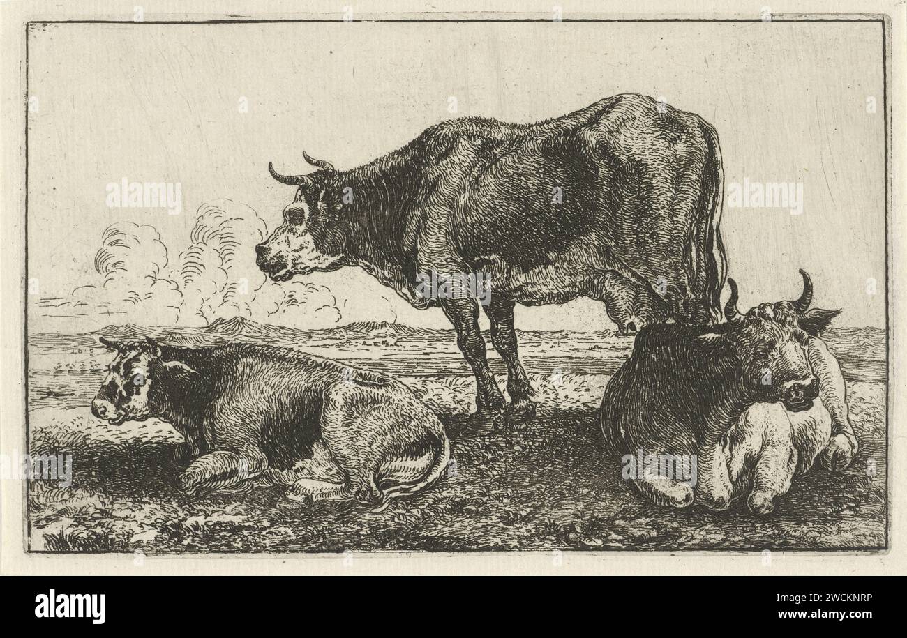 Three cows, Jan van den Hecke (I), 1656 print Brussels (possibly) paper ...