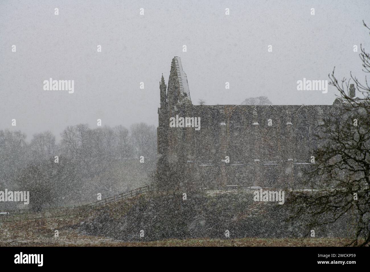Bolton abbey ducks hi-res stock photography and images - Alamy