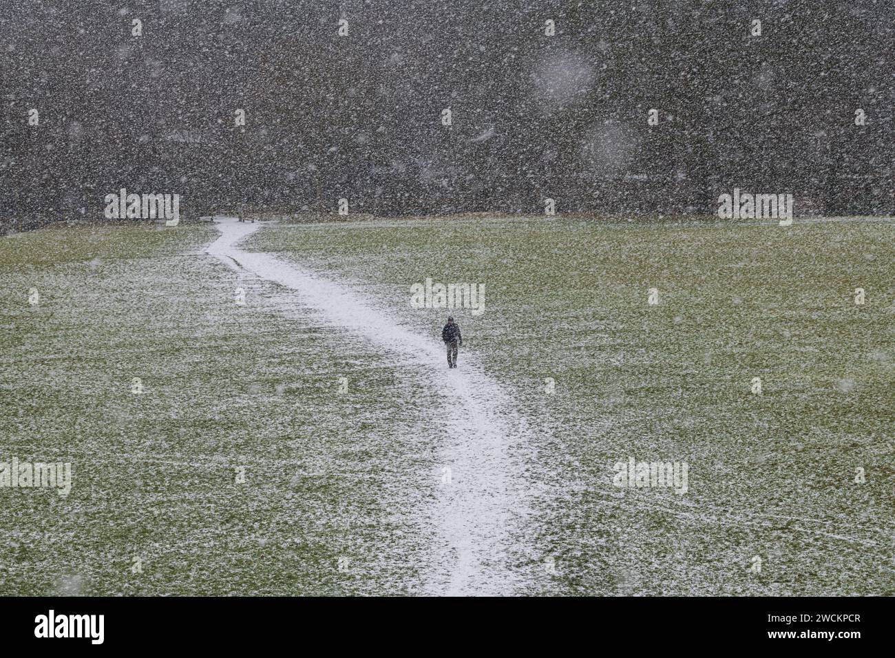 Skipton, North Yorkshire, 16th January 2024. A walker braves the heavy ...