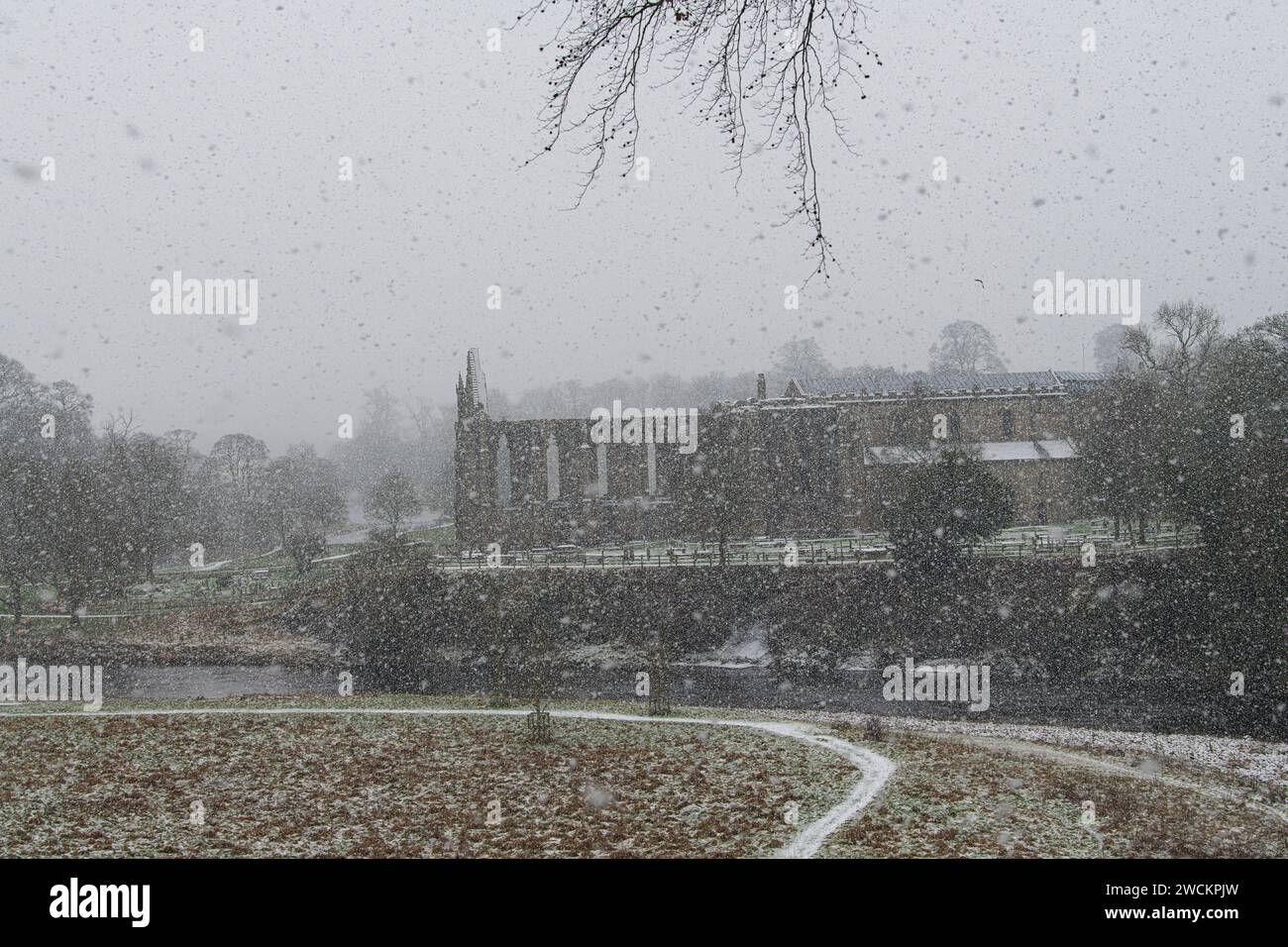 Bolton abbey ducks hi-res stock photography and images - Alamy