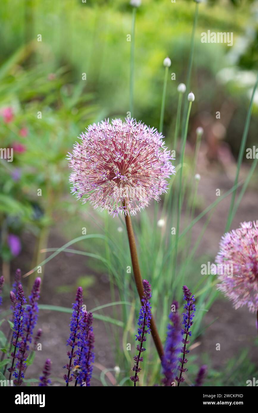 Colorful spring scenes hi-res stock photography and images - Alamy