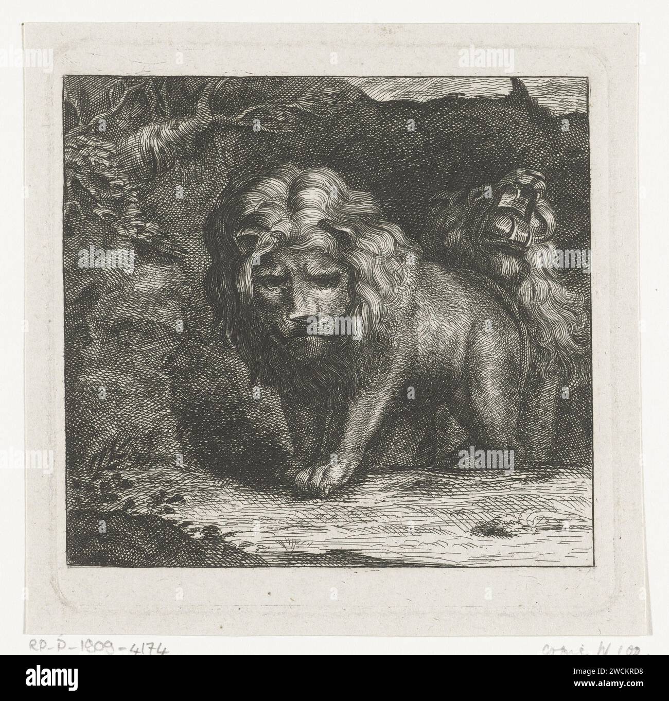 Two lions at the entrance of their cave, Anonymous, After Abraham Bloteling, after Peter Paul ...