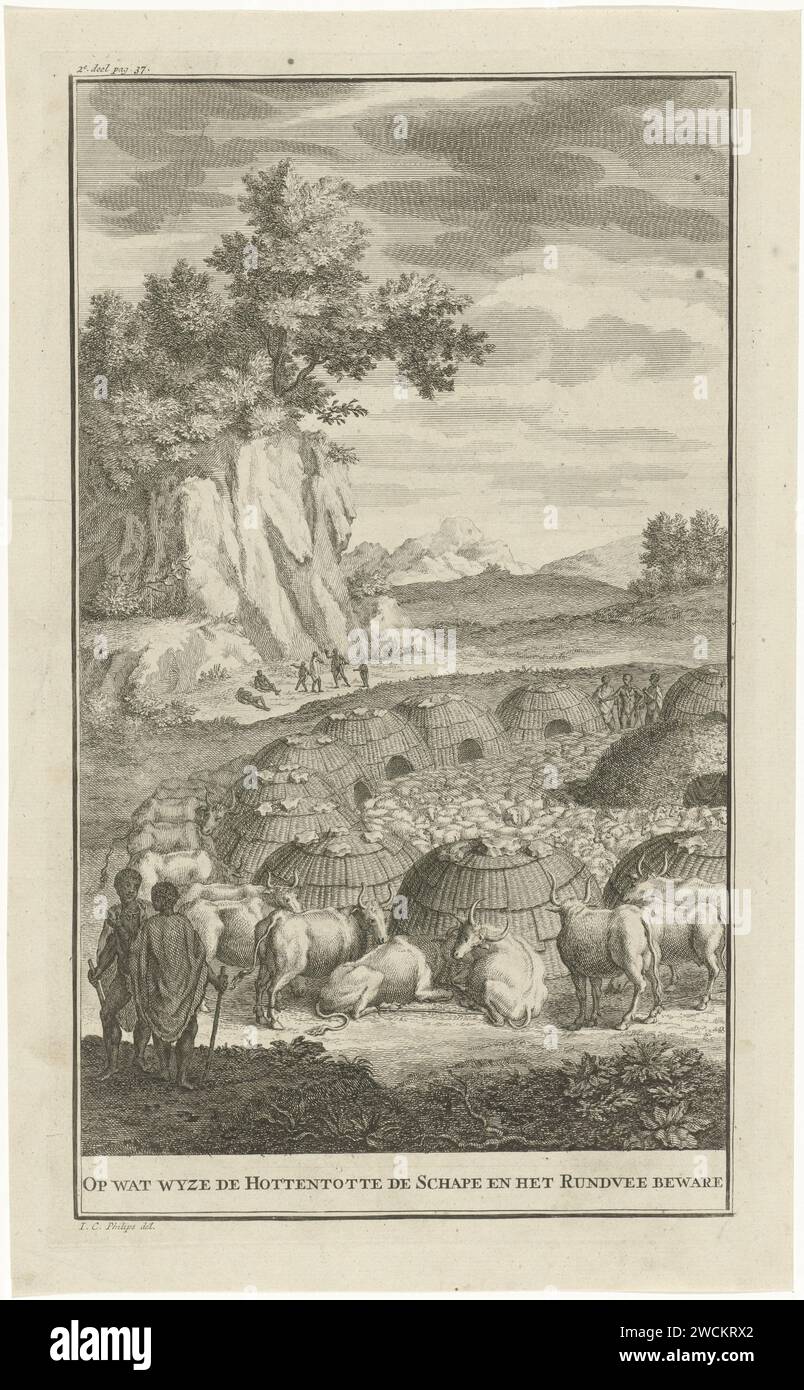 Khoikhoi at a bead with their cattle, Jan Caspar Philips, 1727 print ...