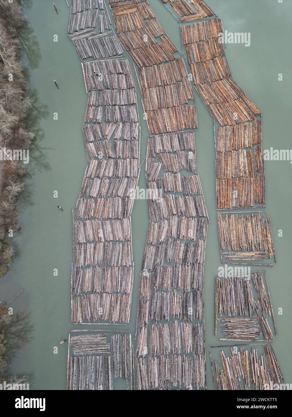 Logs floating in water hi-res stock photography and images - Alamy