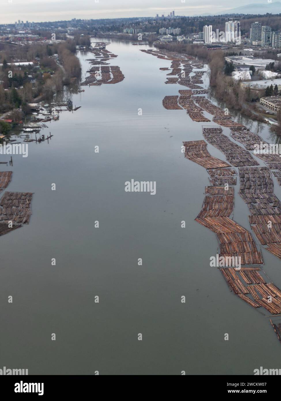 Logs floating in mountain lake Stock Photo - Alamy