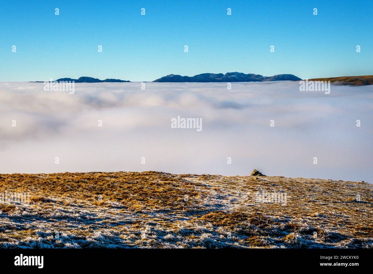 A sea of cloud - temperature inversion or cloud inversion - with the ...