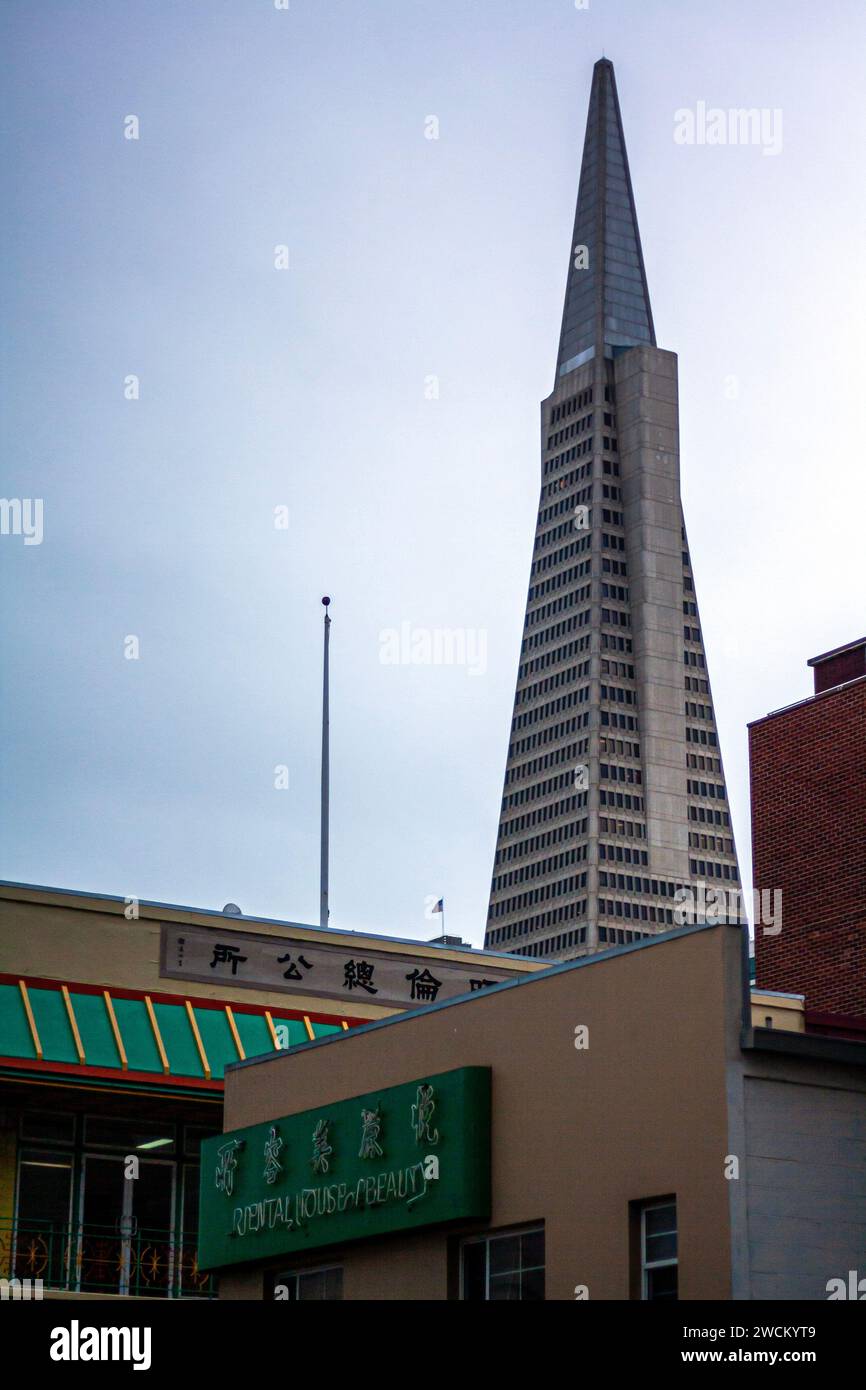 The Transamerica Pyramid rising above office buildings in Chinatown ...