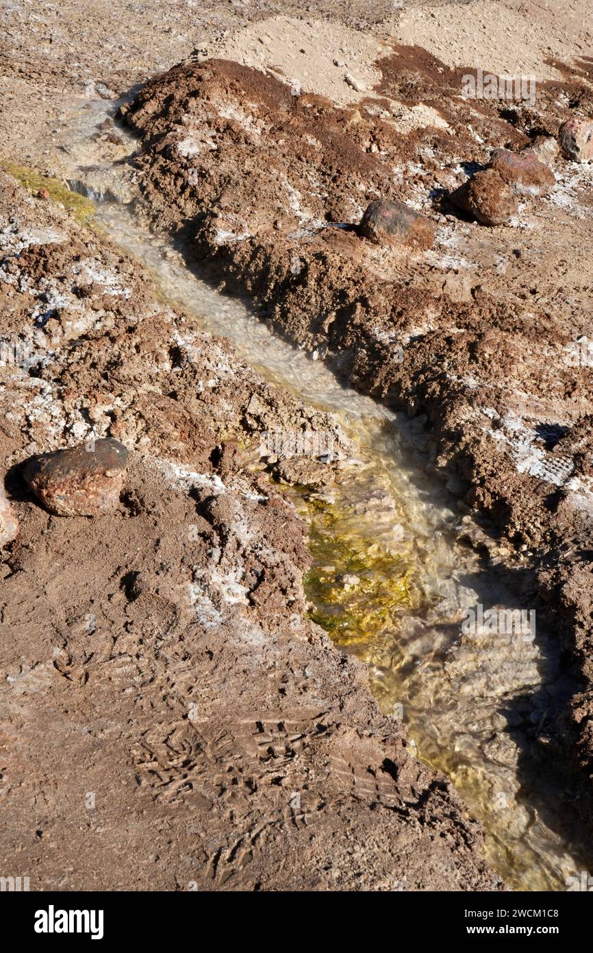 Geothermally heated water running through a channel at Geysers Del ...