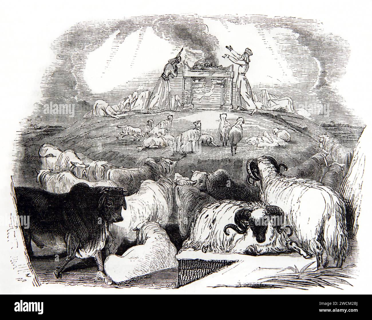 Illustration of High Priests at the Altar of Burnt Offerings for the ...