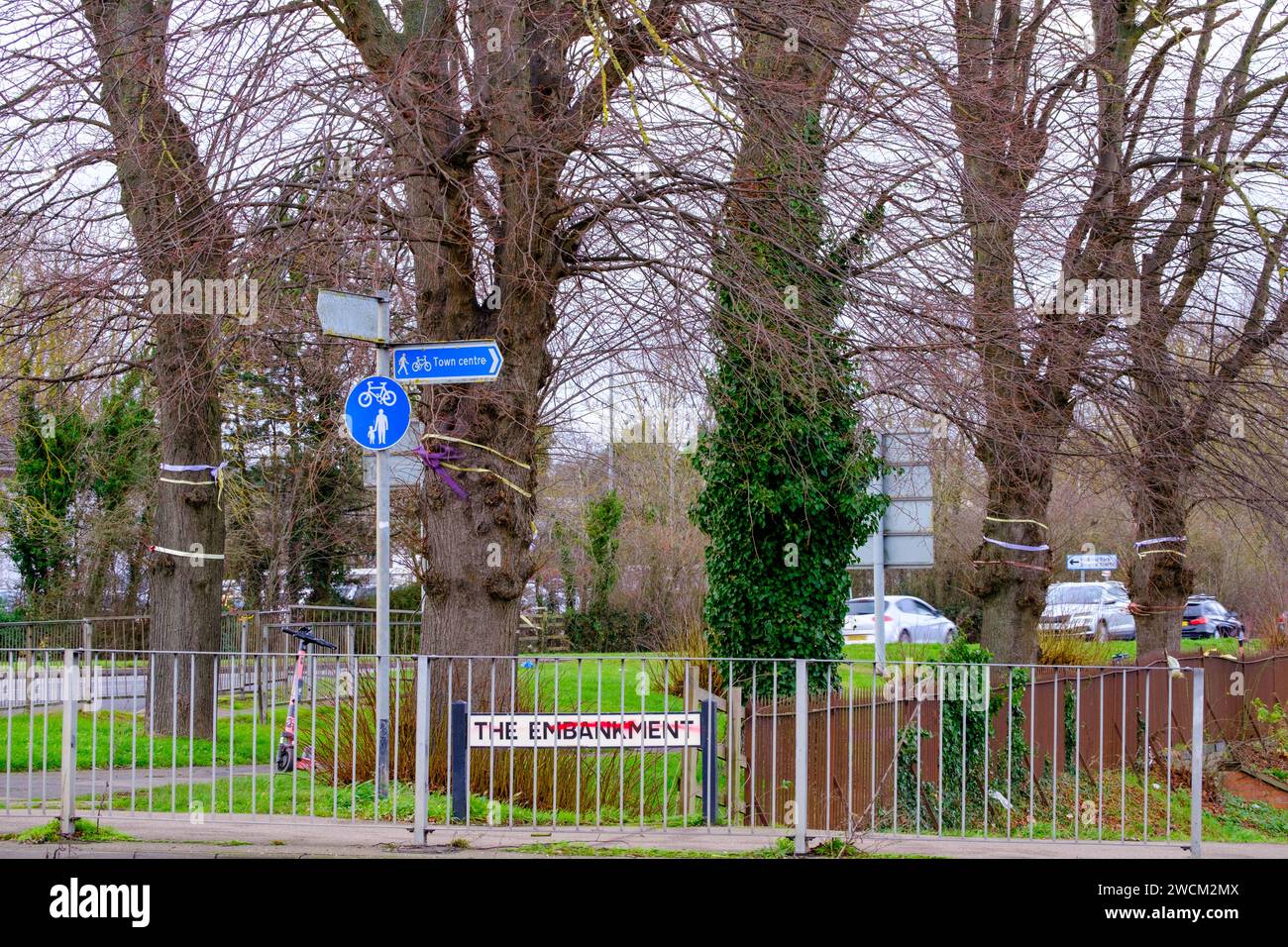 Trees earmarked for felling on the Embankment, Wellingborough to build ...