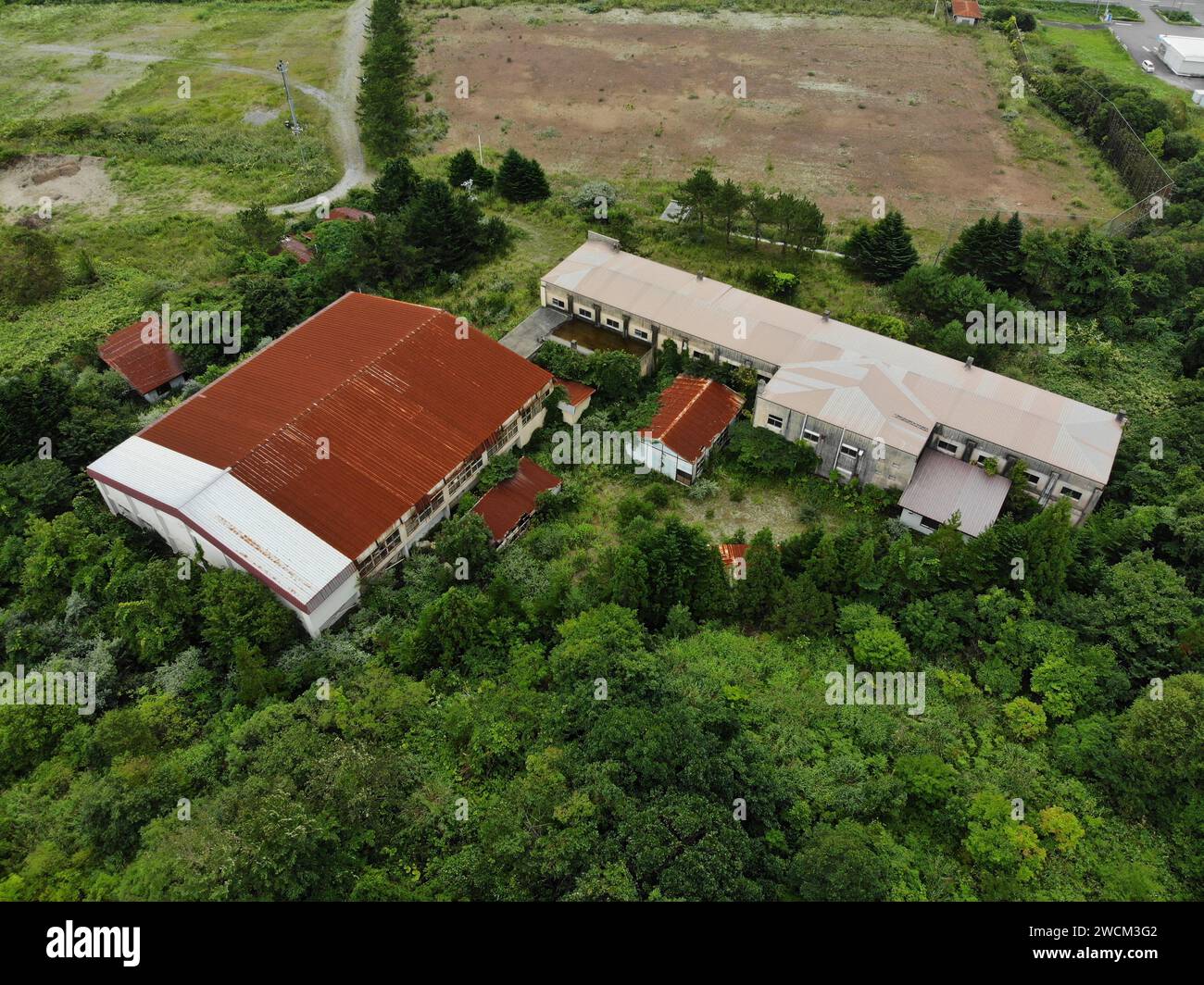 Abandoned Industrial Complex Amidst Forest Stock Photo - Alamy