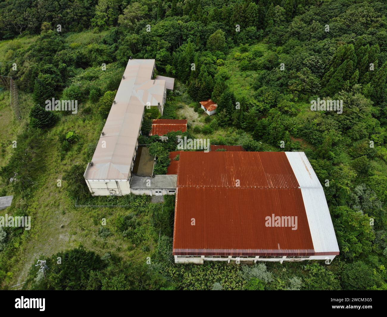 Abandoned Industrial Complex Amidst Forest Stock Photo - Alamy