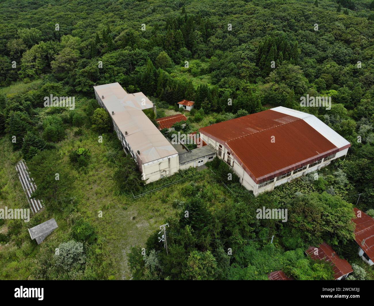 Overgrown deserted complex hi-res stock photography and images - Alamy