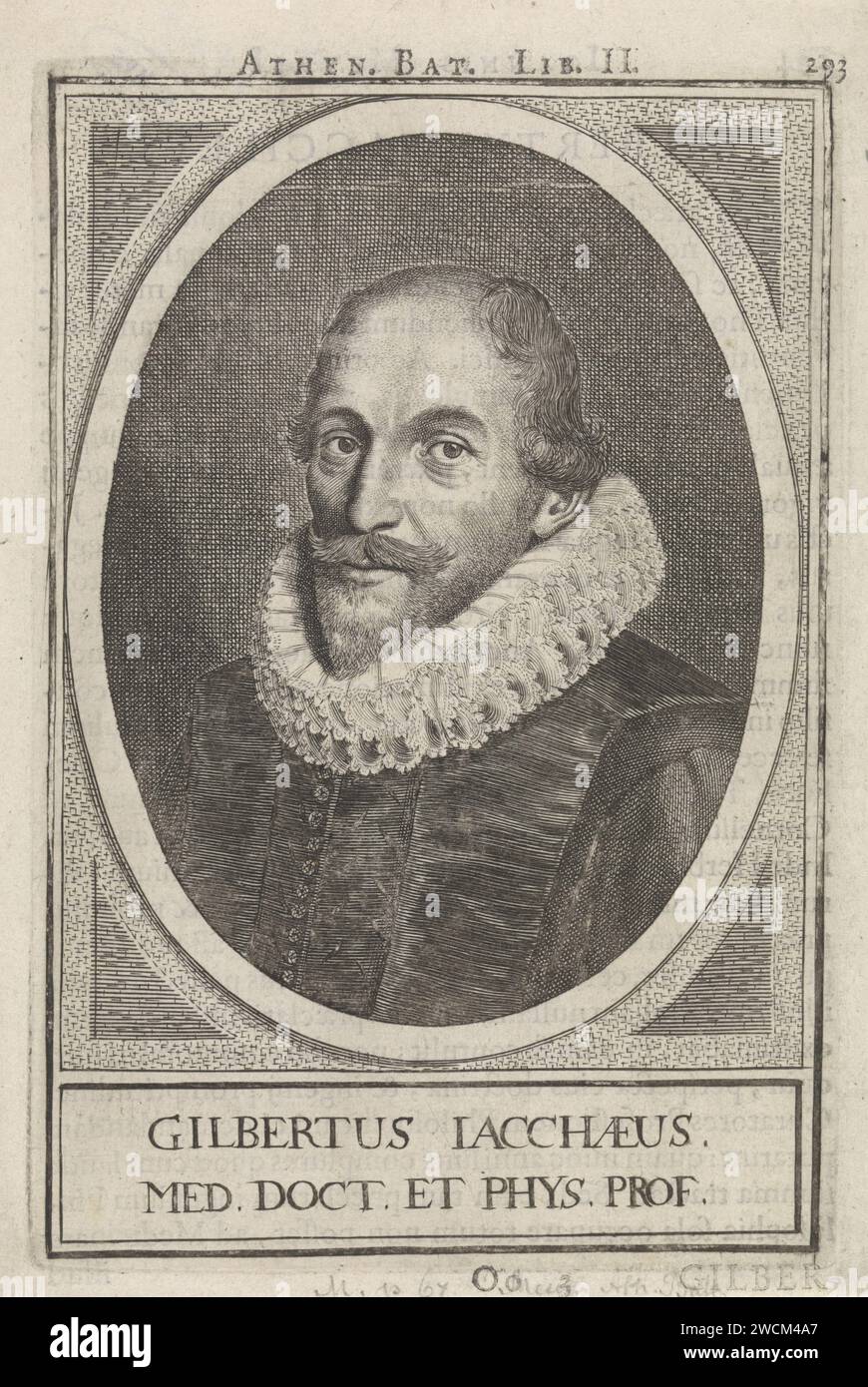 Jacchaeus gilbertus hi-res stock photography and images - Alamy