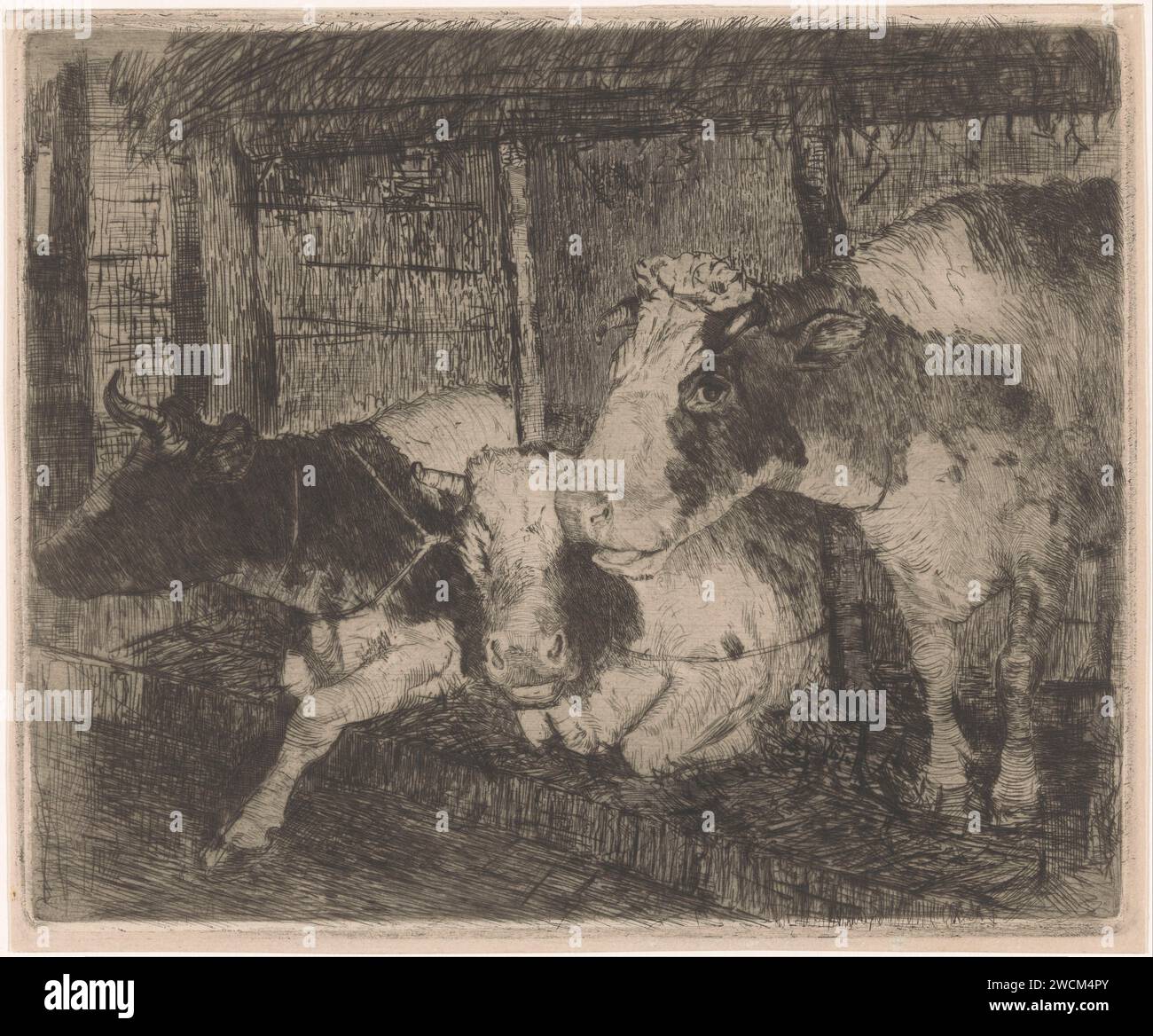 Stable with three cows, Klaas van Leeuwen, 1891 print The two left cows ...