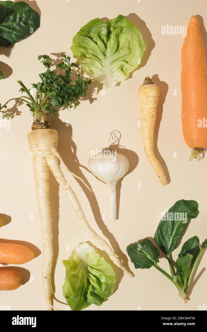 Overhead view of fresh vegetables parsnip, carrot, garlic. spinach ...