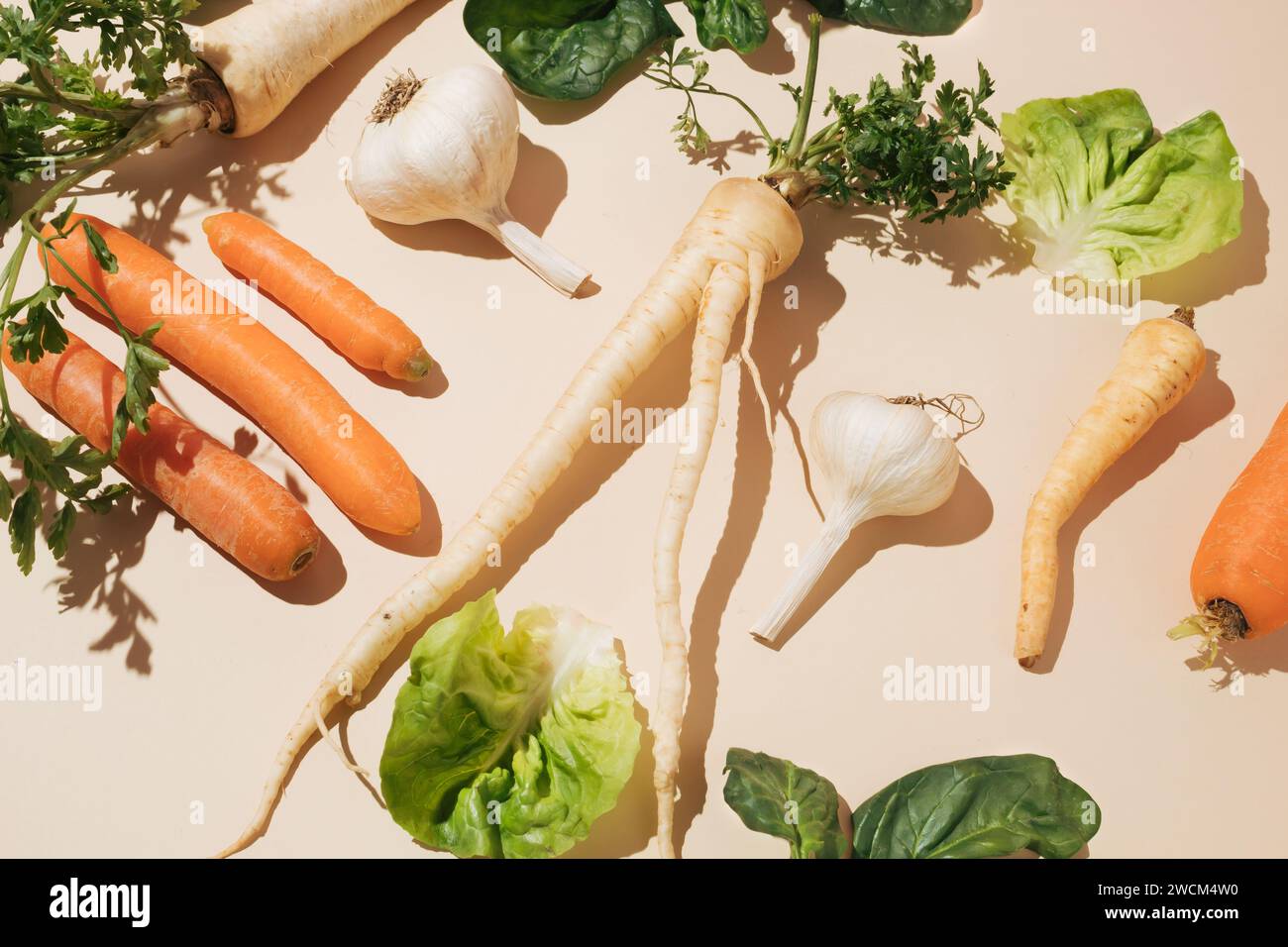 Close-up of fresh vegetables parsnip, carrot, garlic. spinach, parsley ...