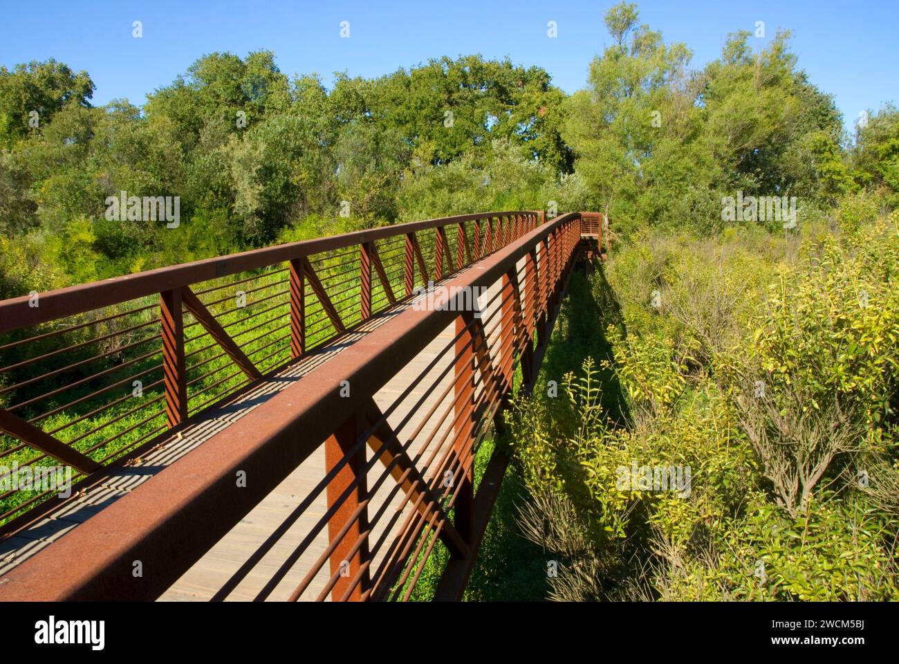 Willow Slough Trail bridge, Cosumnes River Preserve, California Stock ...