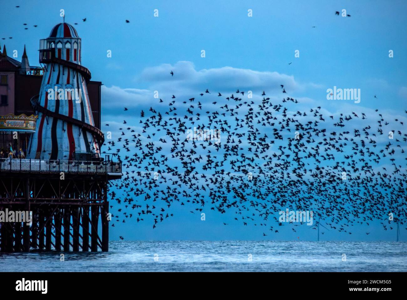 Brighton, January 16th 2024: Starlings murmurating around Brighton's Palace Pier at sunset, just ...