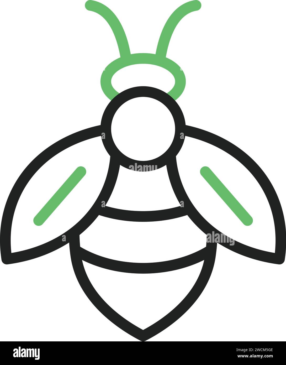 Stingless bee honey Stock Vector Images - Alamy