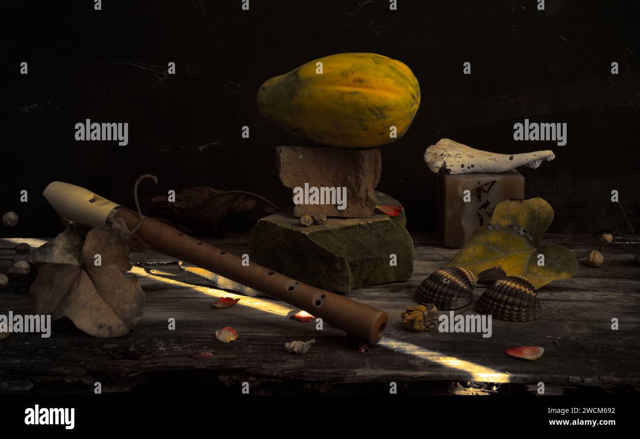 Shells rocks hi-res stock photography and images - Alamy