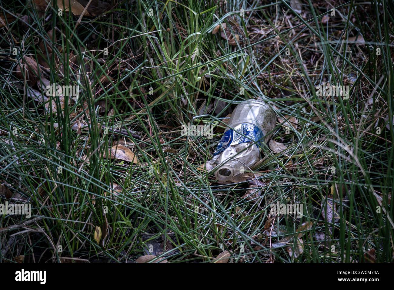 Plastic Bottle Littered on Ground in Grass Stock Photo - Alamy
