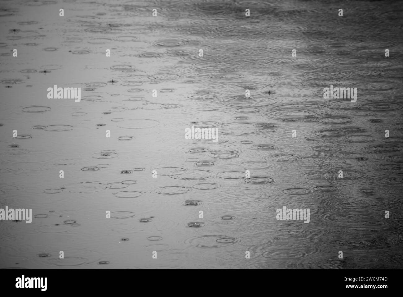 Lake Water Ripples During Light Rain Shower Stock Photo - Alamy