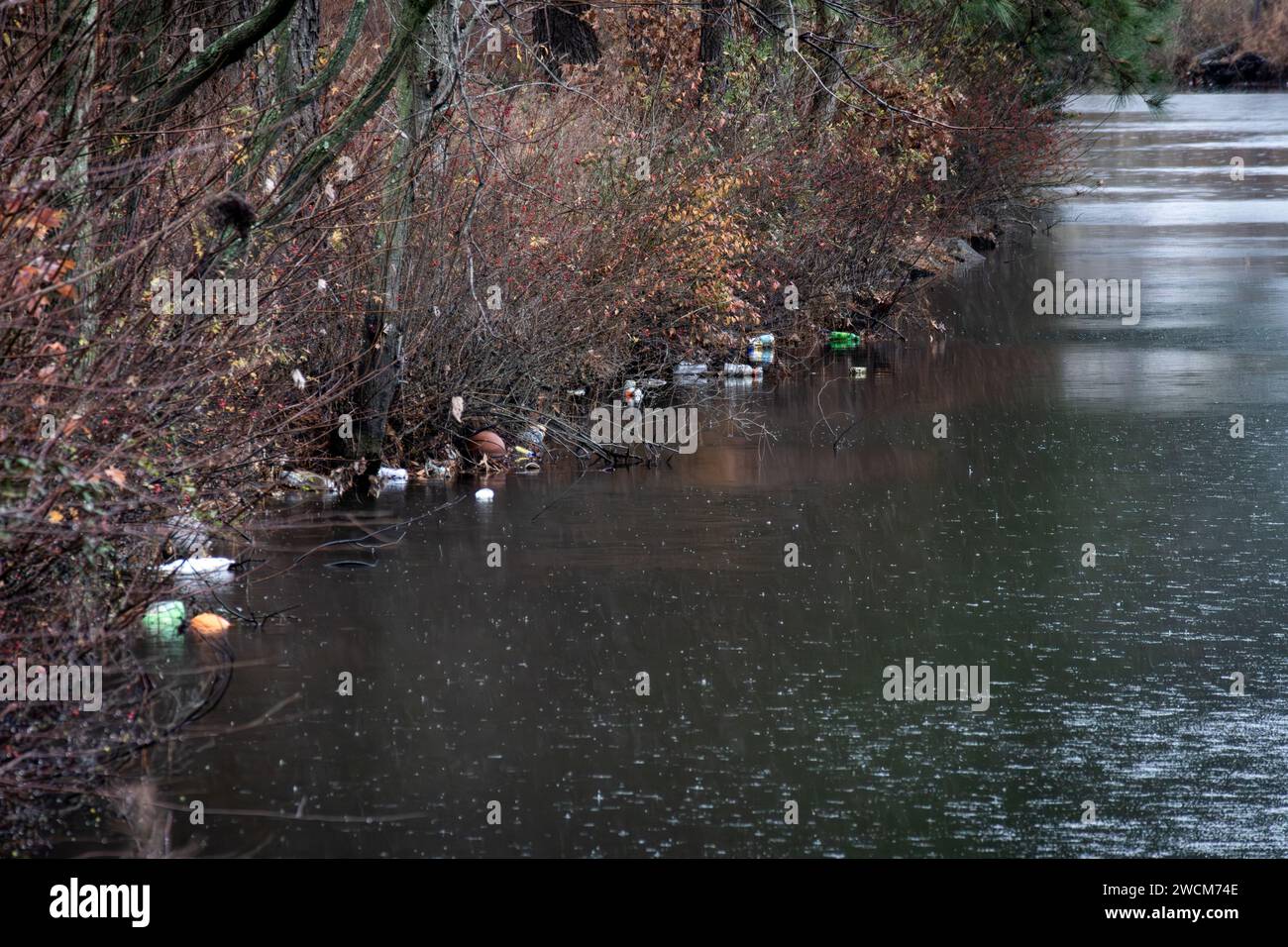 Litter Along Edge of Lake during Rain Stock Photo - Alamy