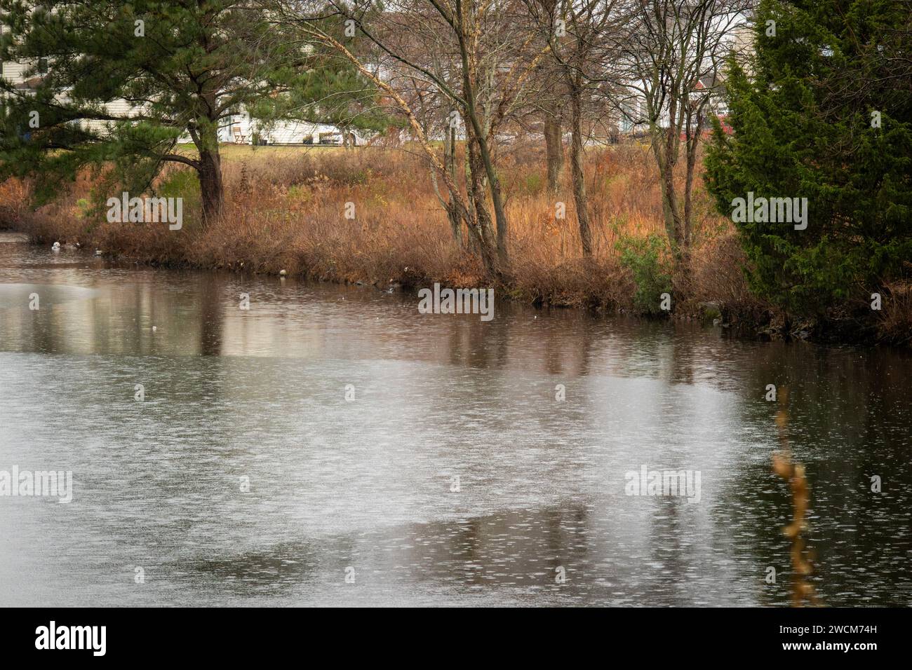 Stream ripples during light hi-res stock photography and images - Alamy