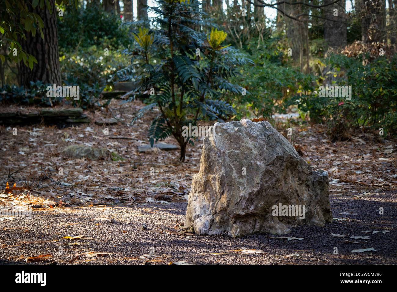 Gravel garden path hi-res stock photography and images - Alamy