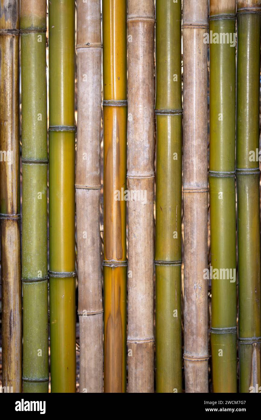 Background Texture of Bamboo Chutes Stock Photo - Alamy