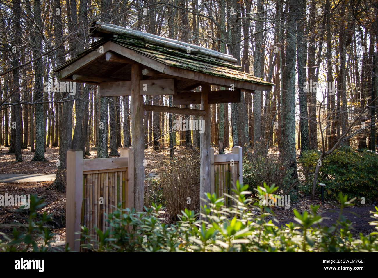 Wood Bamboo Japanese Garden Gate Stock Photo - Alamy