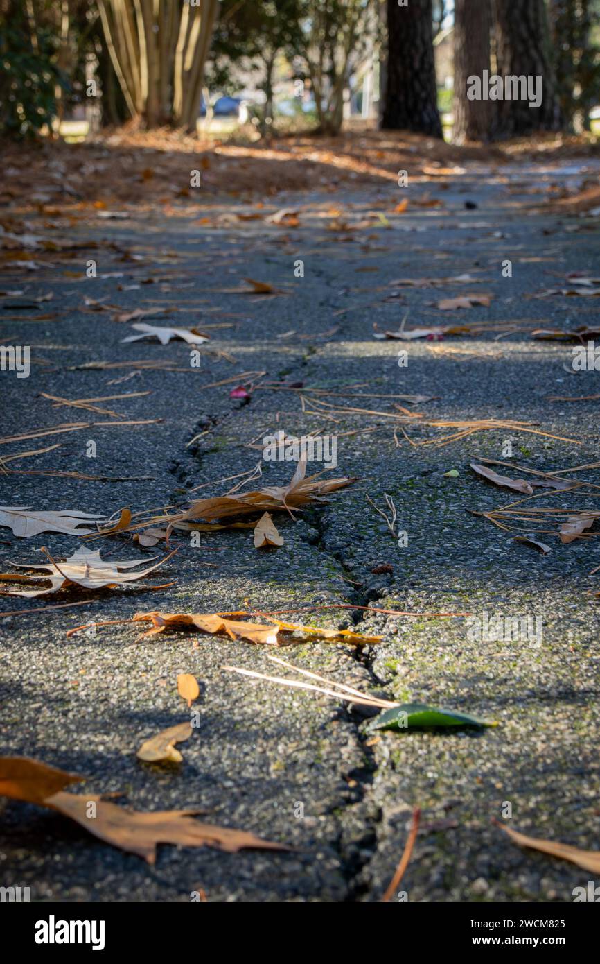 Closeup Crack in Asphalt Sidewalk Path Stock Photo - Alamy