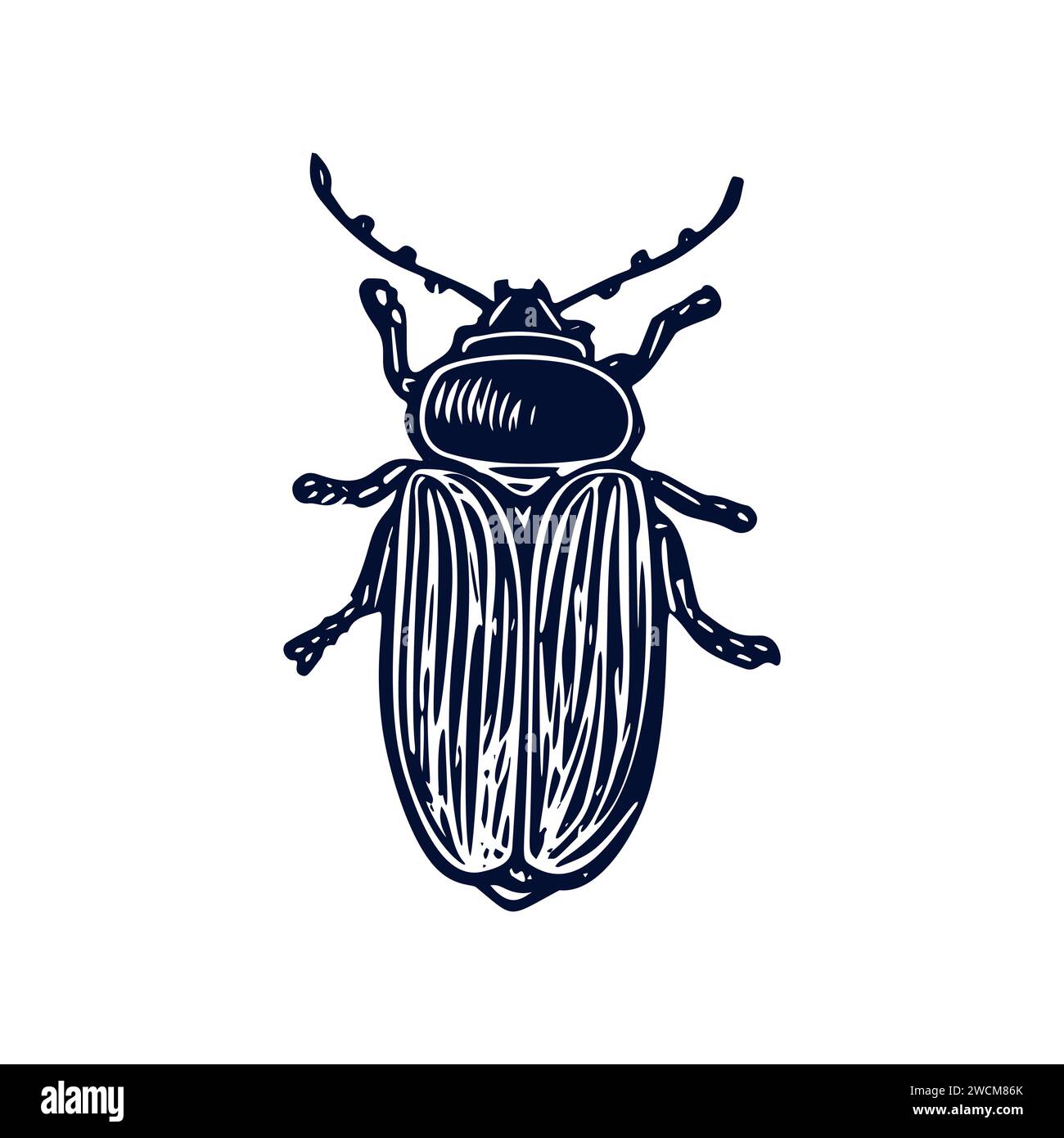 Handmade blockprint bug motif clipart in folkart scandi style. Simple ...