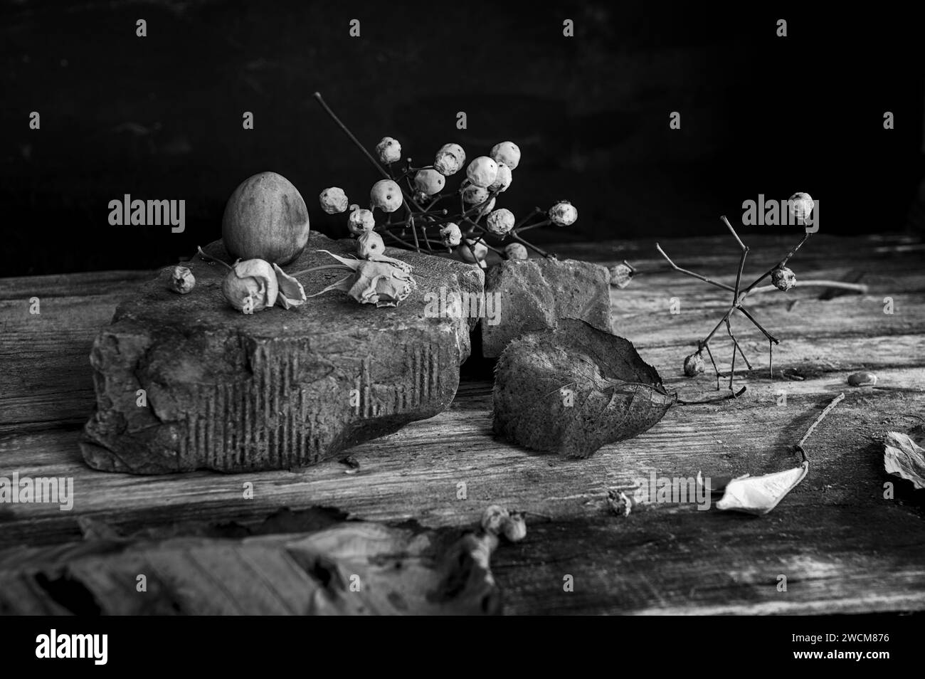 Cute fruit art Black and White Stock Photos & Images - Alamy