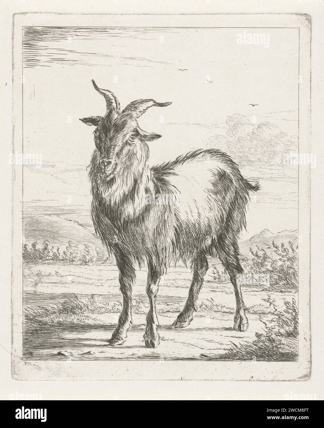 Standing Goat, Jacobus Cornelis Gaal, After Pieter Gaal, 1851 print The ...
