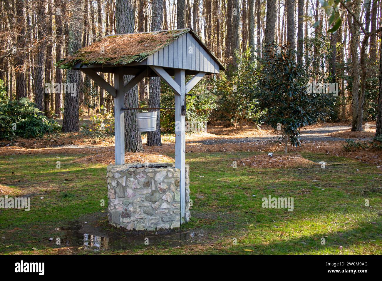 Old Water Well in Park Forest Stock Photo - Alamy