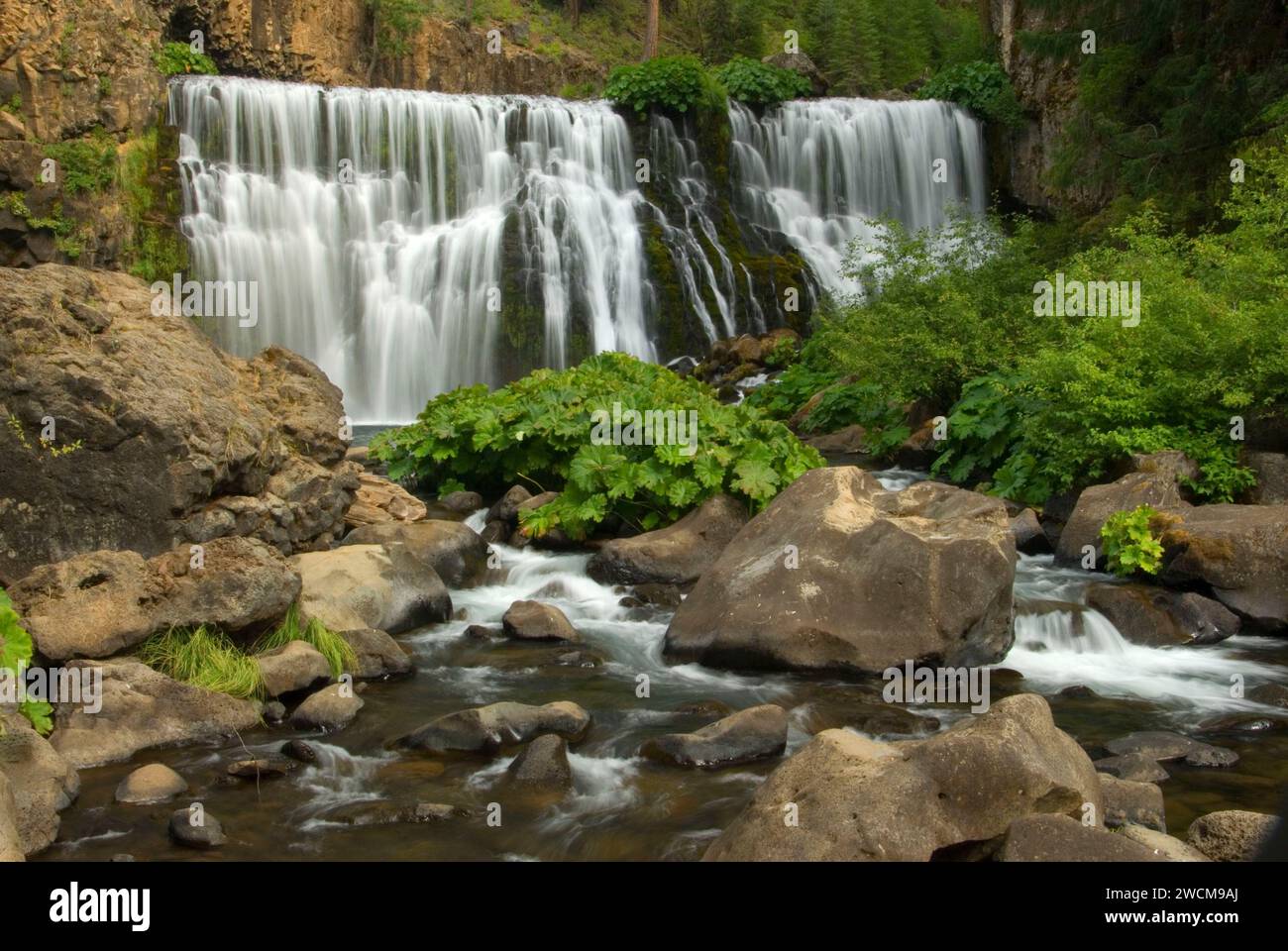 Middle McCloud Falls, Shasta-Trinity National Forest, California Stock ...
