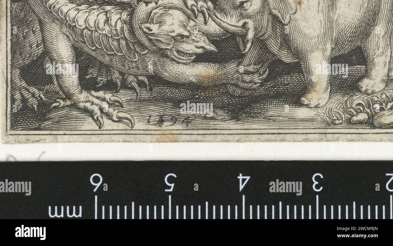 Elephant claws hi-res stock photography and images - Alamy