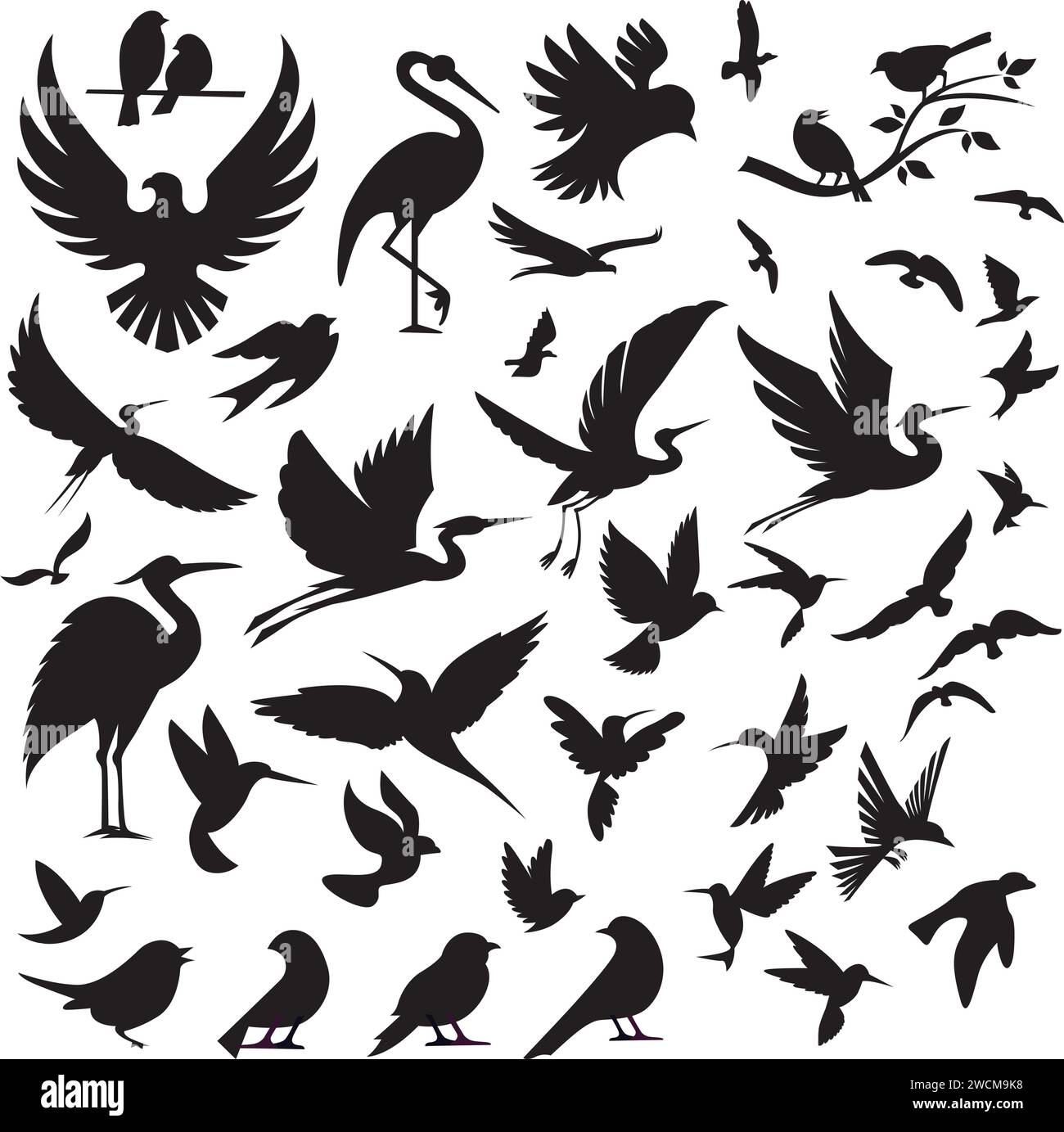 Set of birds silhouettes isolated on white background. Vector ...