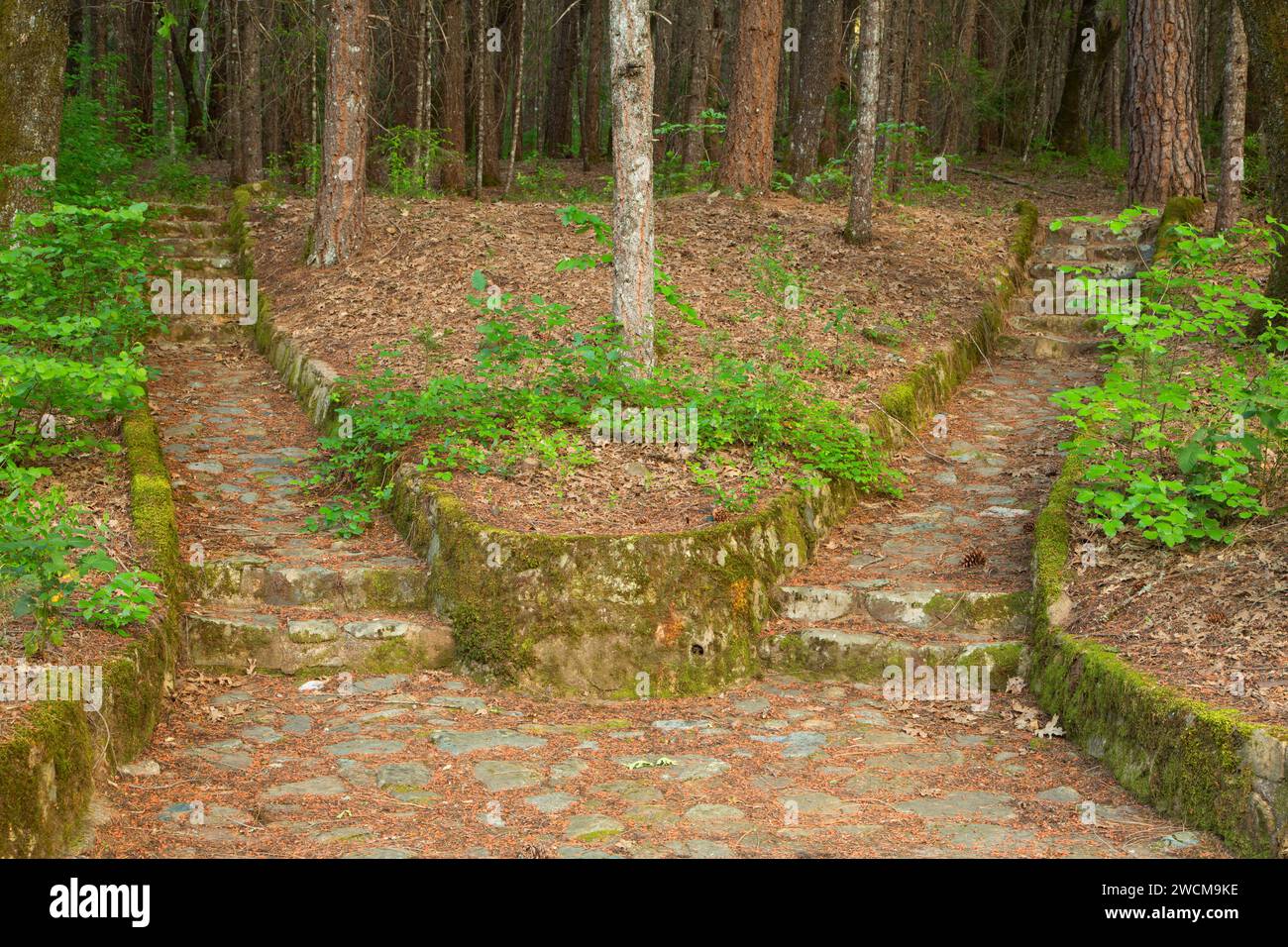 CCC Camp Sims stairs at Sims Flat Campground, Shasta-Trinity National ...