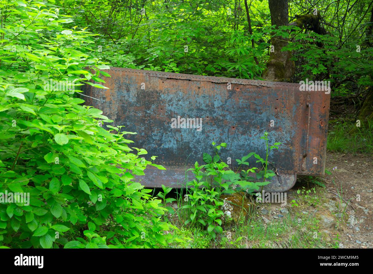 Water tank at Sims Flat Campground, Shasta-Trinity National Forest ...