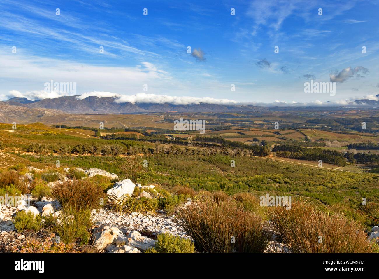 A picturesque grassy plain lies at the foot of majestic mountains and ...