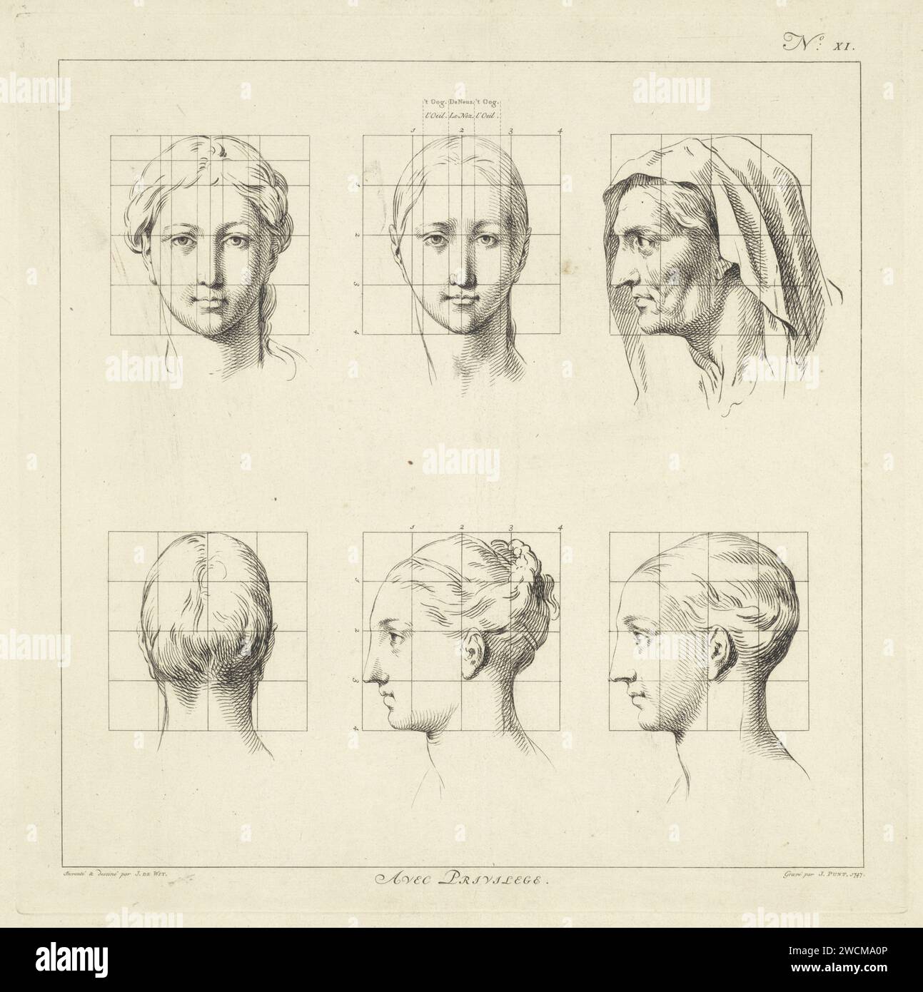 Proportions of human head hi-res stock photography and images - Alamy