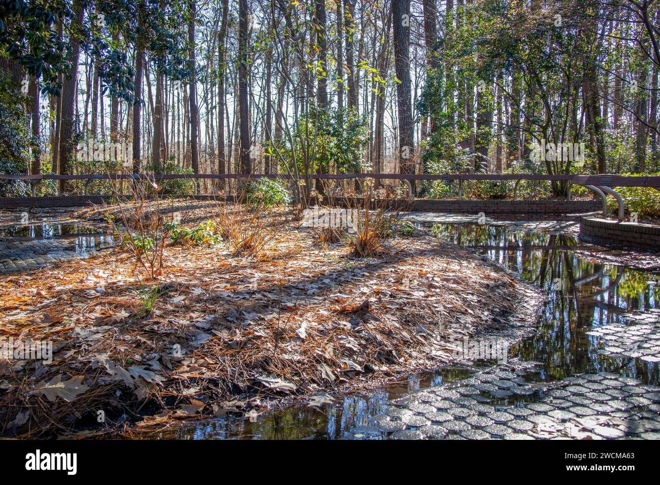 Round Flooded Brick Pathway Overlooking Beautiful Forest Stock Photo ...